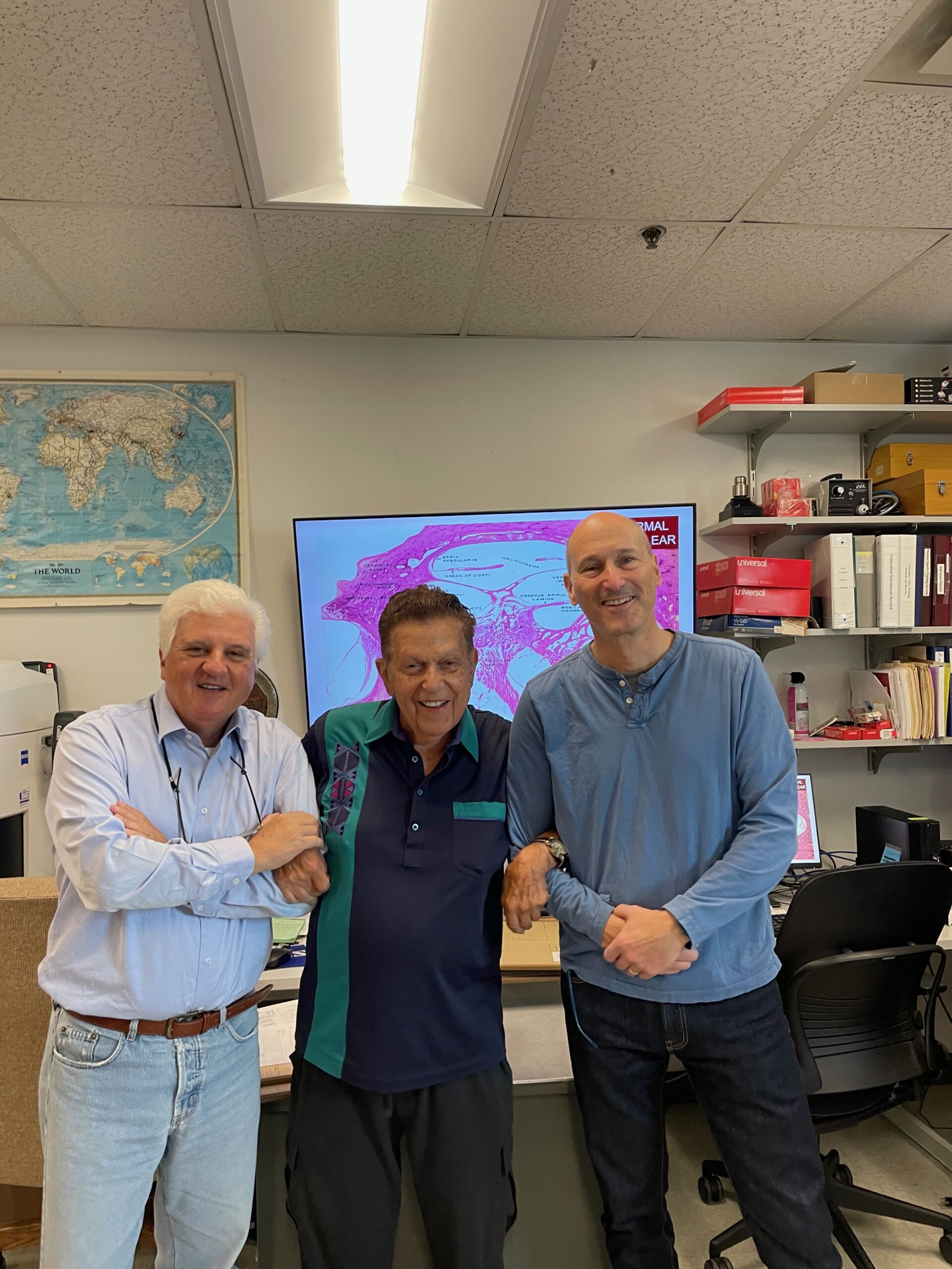 Otolaryngology in NYC - Dr. Neil Sperling